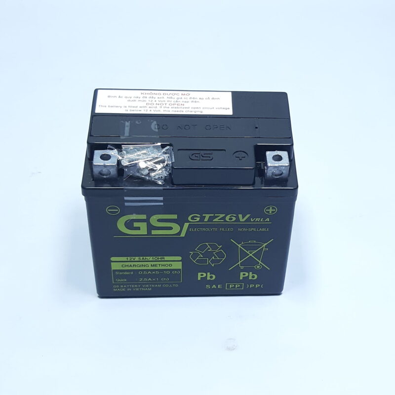 Ắc quy GS GTZ6V (12V-5Ah)